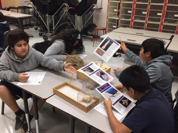 Design Thinking in Middle School: A Human-Centered Approach to 21st ...